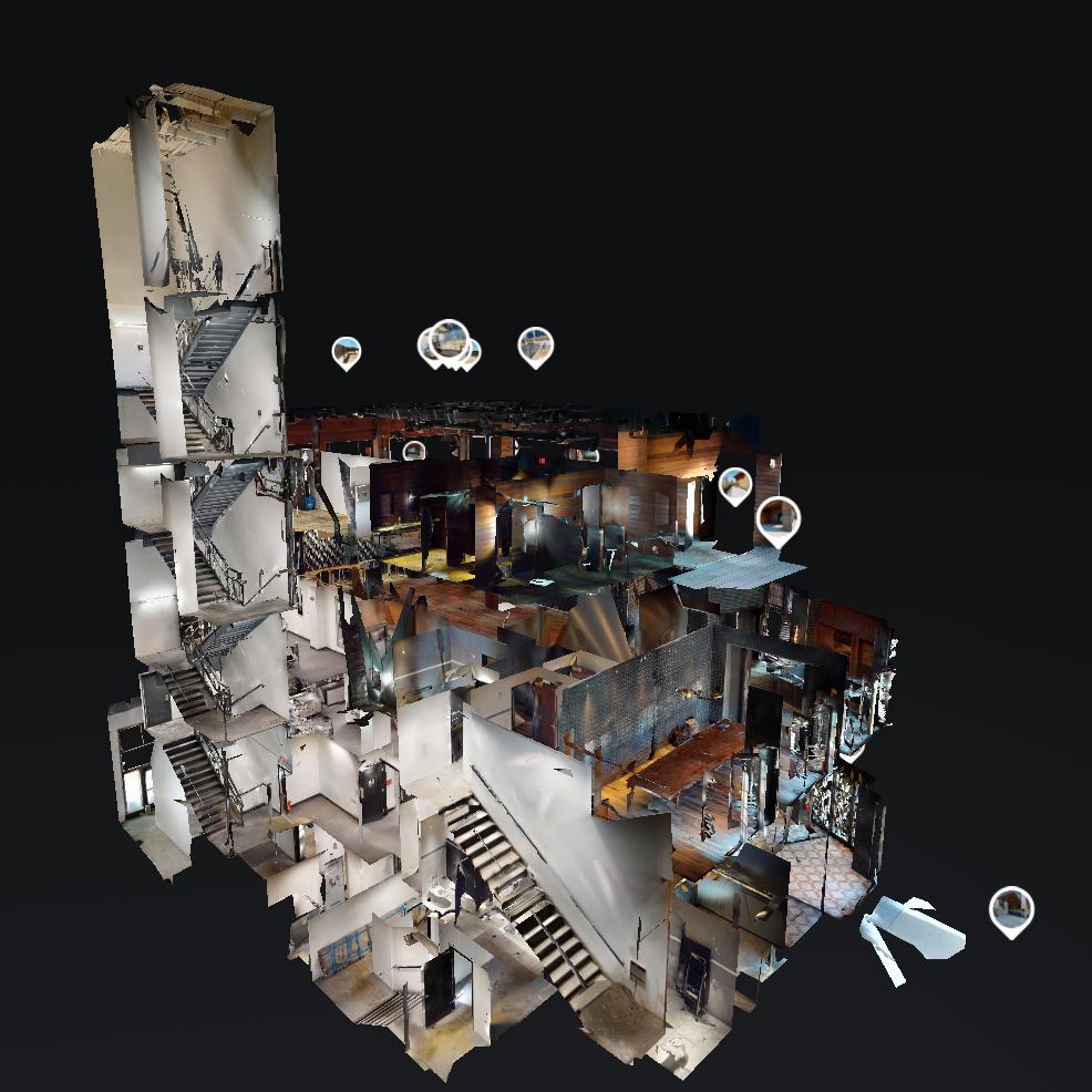 Digital Twin Capture - Scan Skunks